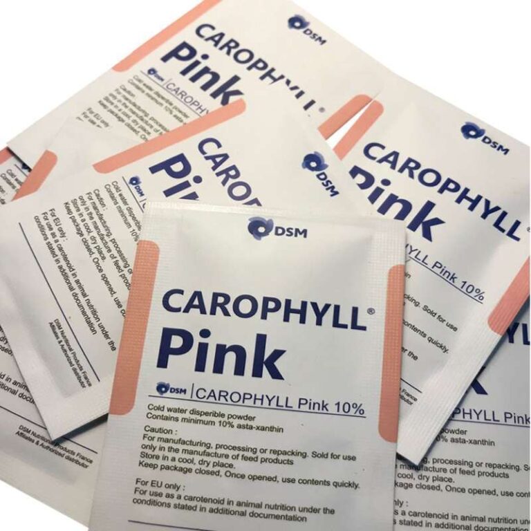 Jual Carophyll Amazing Pink 5gr Carophyl Pewarna Ikan Doping Warna ...