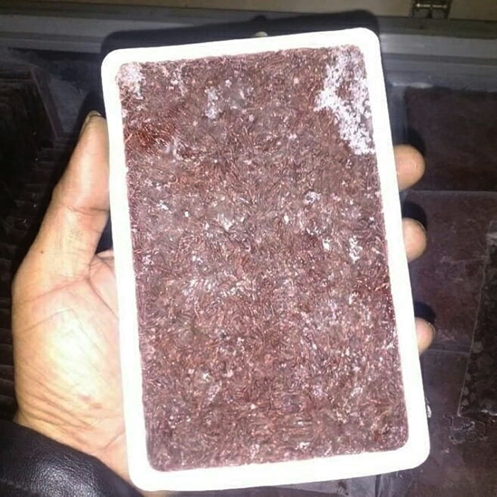 Jual Cacing Beku Tray 100gr 100 gram 1 pc Trey Merah Darah Frozen ...