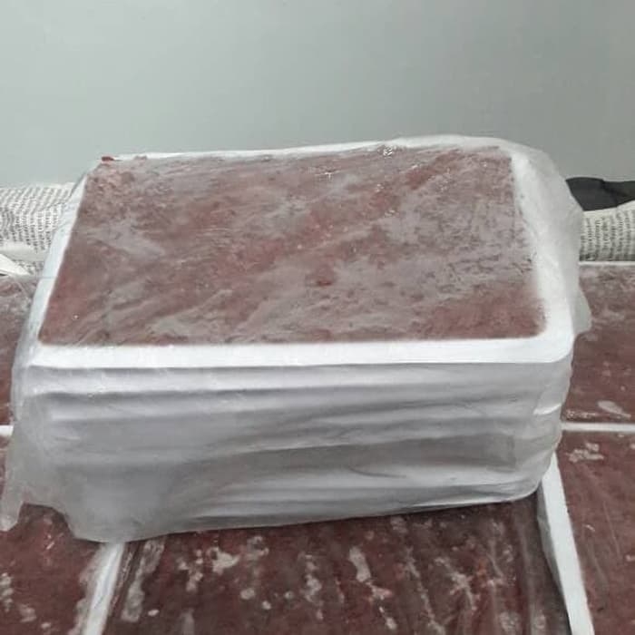 Jual Cacing Beku Tray 1kg 1 kg Isi 10 pc Trey Merah Darah Frozen ...