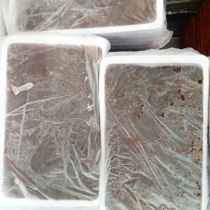 Jual Cacing Beku Tray 1kg 1 kg Isi 10 pc Trey Merah Darah Frozen ...