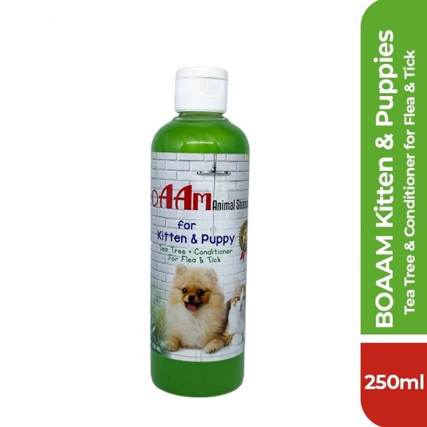 Jual Shampo BOAAM Kitten Puppy Animal Shampoo Sampo for Cat & Dog ...