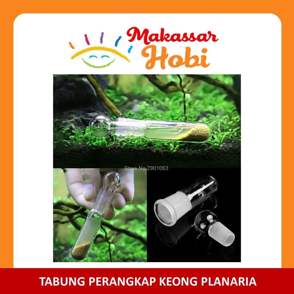Jual Snail Planaria Leech Trap Alat Perangkap Hama Keong Cacing ...