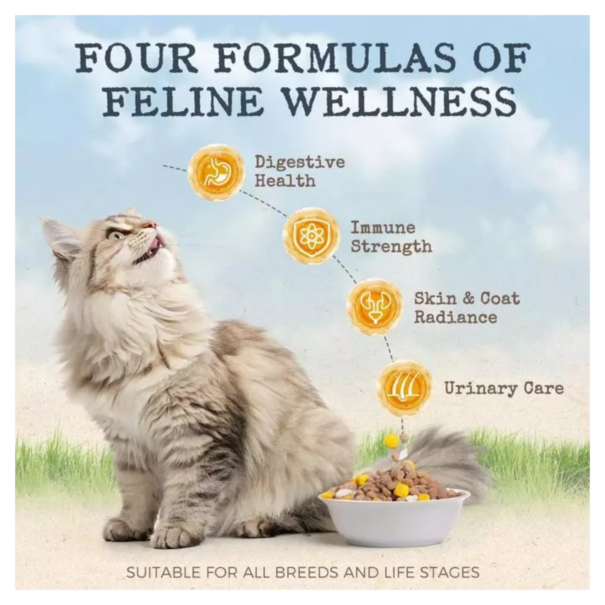 Jual VEV Feline Fit Stomach Bowels Gastro 1kg Happy Cat Makanan Kucing ...